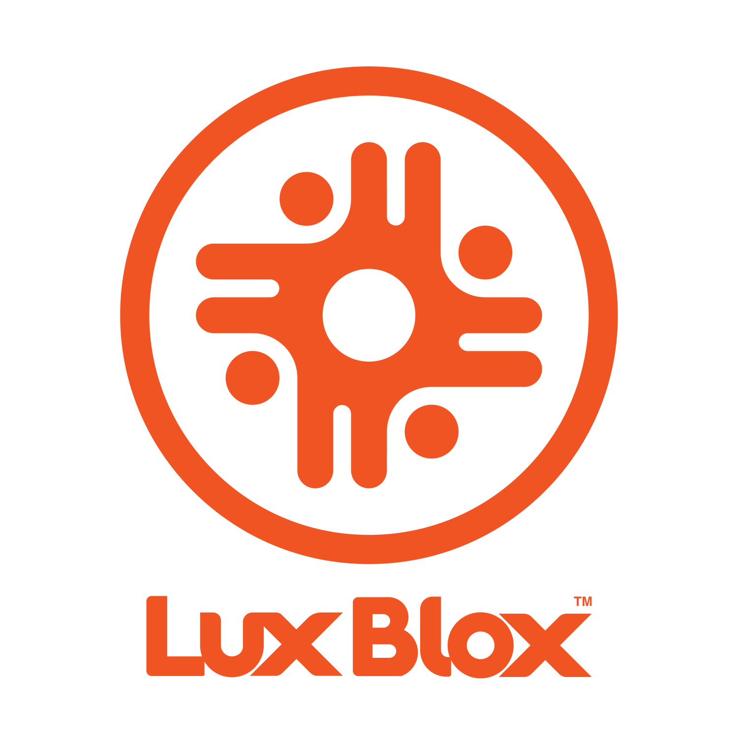 Our Story – LUX BLOX