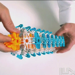 Fidget Flexers – LUX BLOX